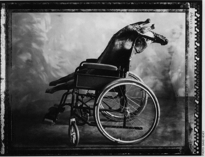 First funds for disability arts archive - Arts Professional