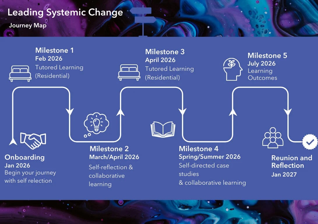 Leading Systemic Change - Arts Professional