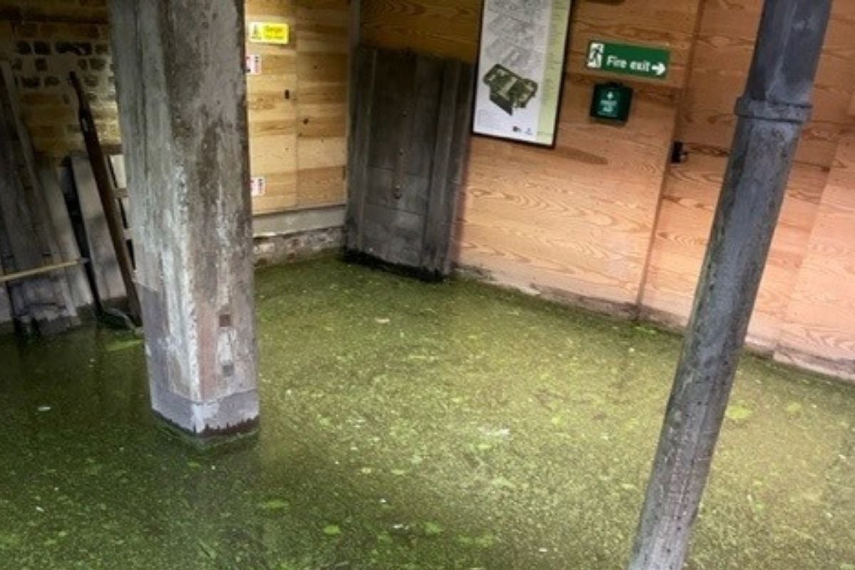 Trust denies claim historic East London mill 'rarely open' - Arts ...