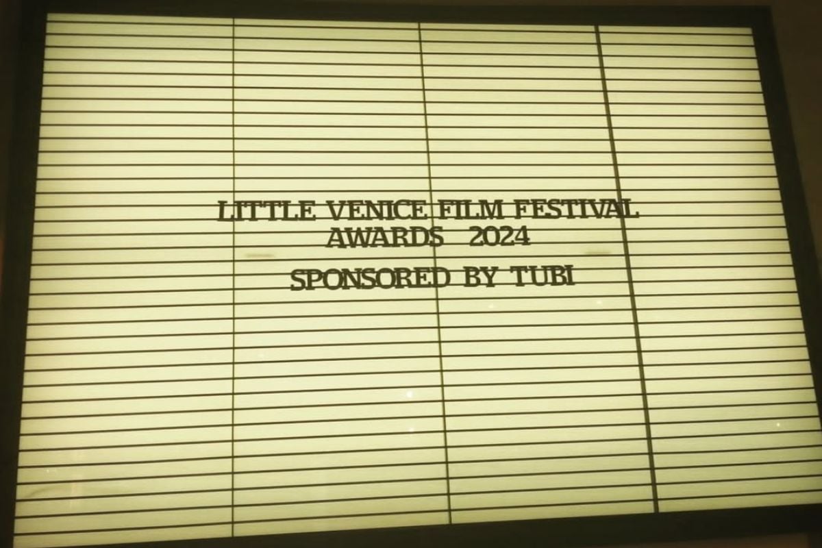 Film festival fundraising to protect accessibility offer after ...