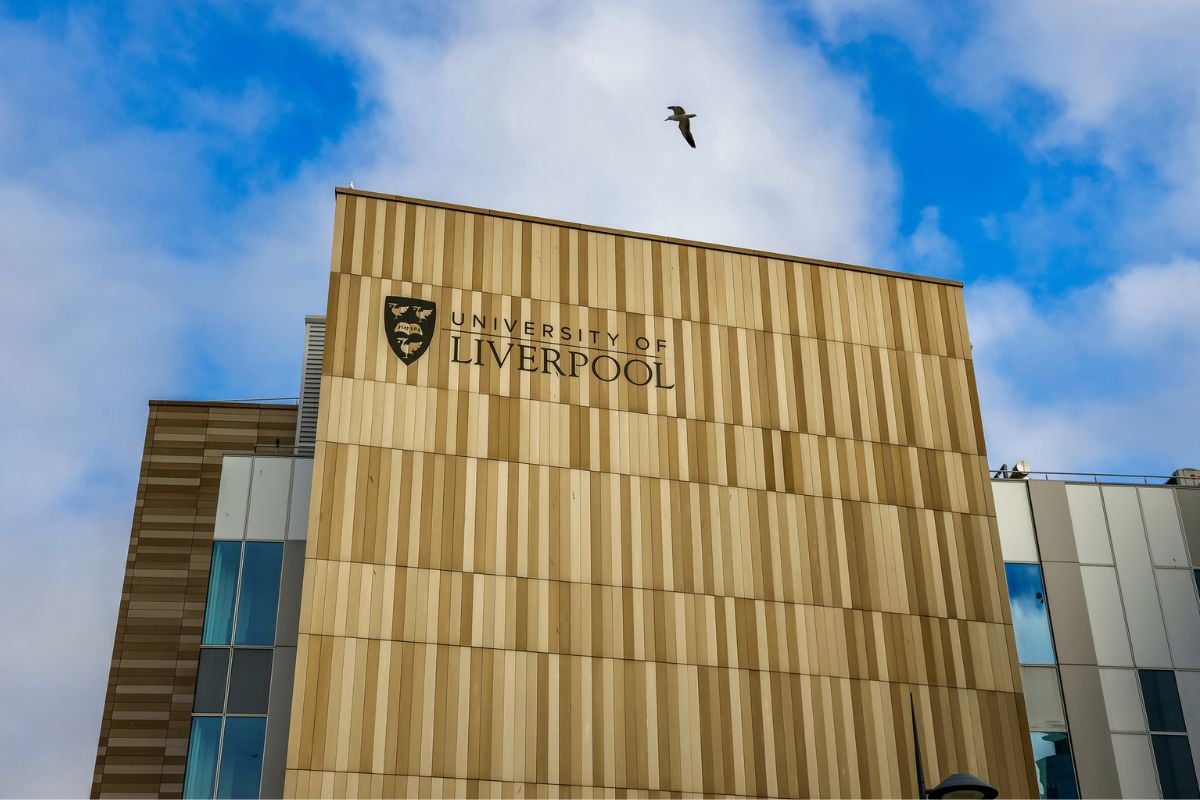 Roadmap for creative higher education a 'timely intervention' - Arts ...